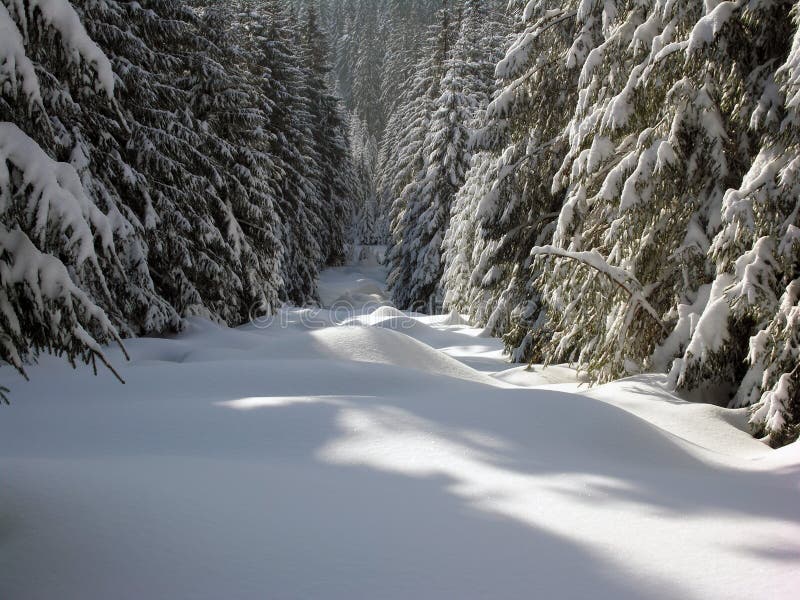 Schneien Sie ganz vorbei stockbild. Bild von schneebedeckt - 7134245