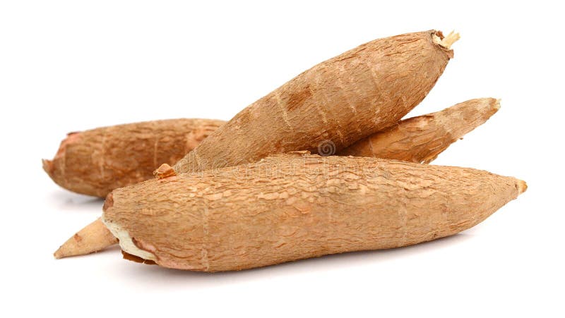 Manioka (Manioka) stockbild. Bild von manioka, perspektive - 31196733