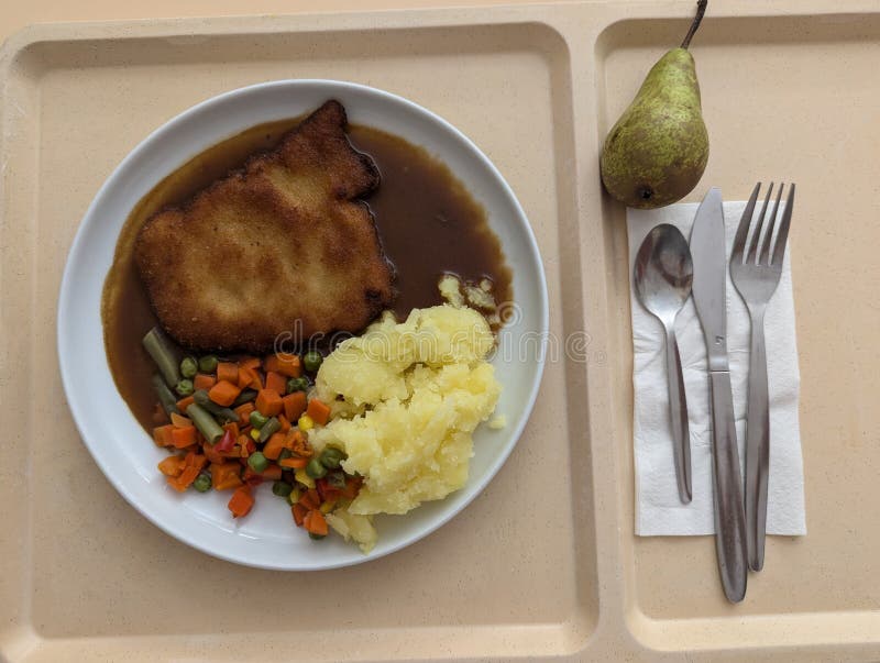 Schnitzel with Mashed Potatoes, Steamed Vegetables and Brown Sauce ...