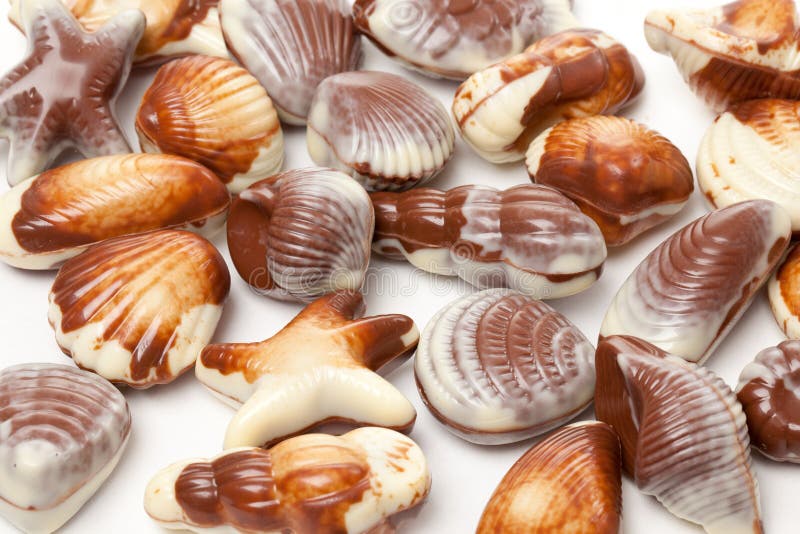 Schokolade Seashells stockfoto. Bild von romanze, kalorien - 14477736