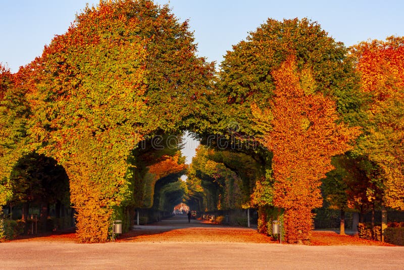 Autumn in Vienna stock photo. Image of bright, attraction - 47353878