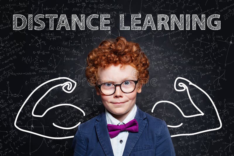 School Boy Student, Distance Learning Stock Image - Image of learning ...