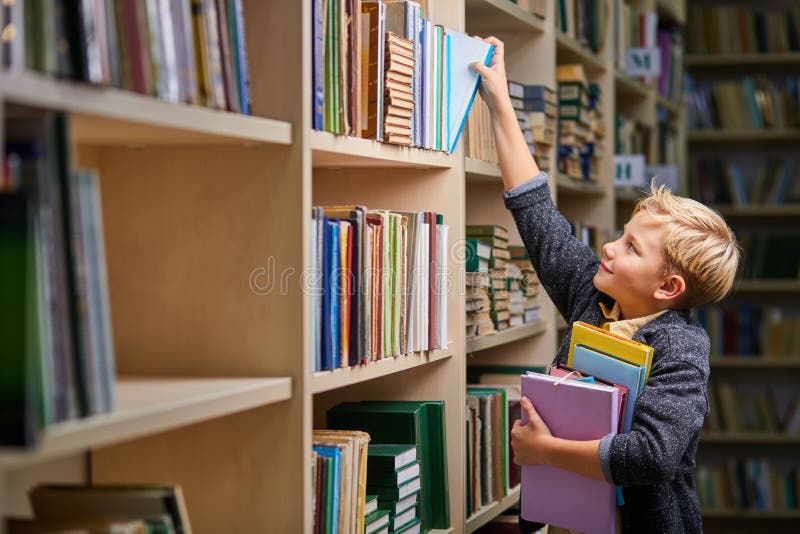 Little School Boy Taking Books from Shelves in Library, with a Stack of ...