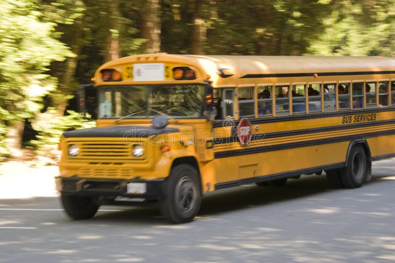 School Bus on Country Road stock photo. Image of rural - 8558682