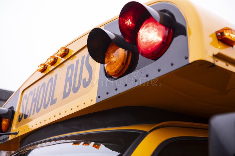 Bus Driver Checking Wheelchair Stock Photos - Free & Royalty-Free Stock ...