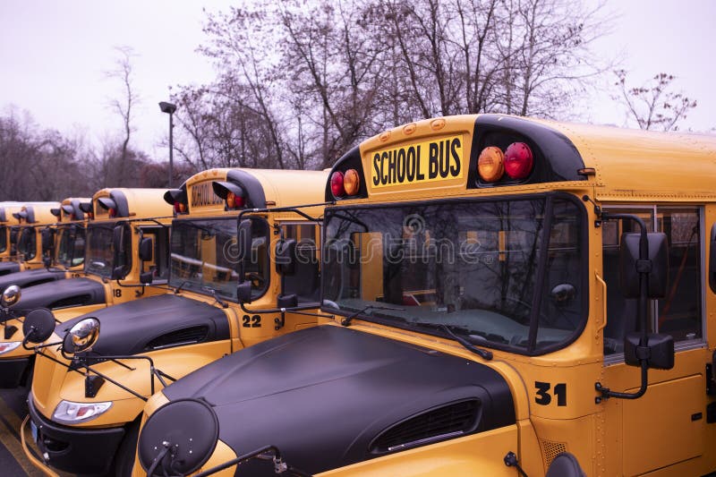 School Bus Driver Checking Multiple Aspects of the Bus before Route ...