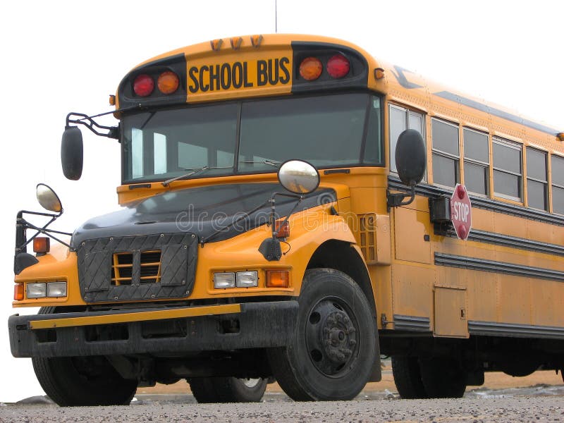 Row of School Buses stock photo. Image of background - 15952356