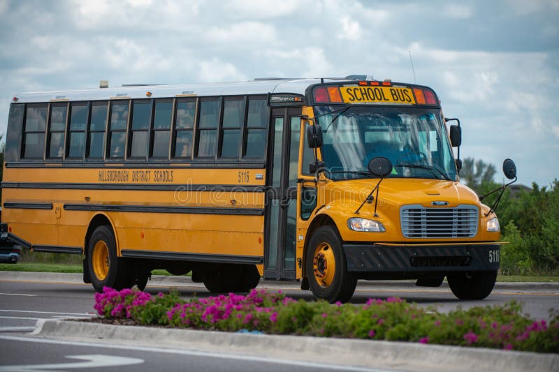 School Bus. Go To School. Schoolbus Station. Getting on School Bus ...