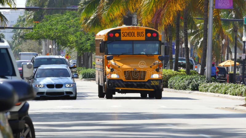 School bus on the road stock footage. Video of curriculum - 64734366