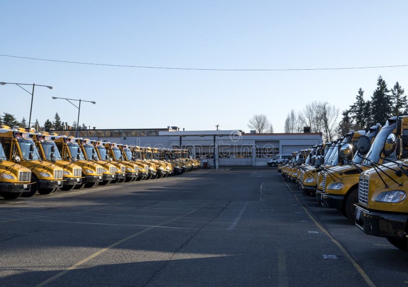 School bus lot #6 stock image. Image of green, school - 173781877