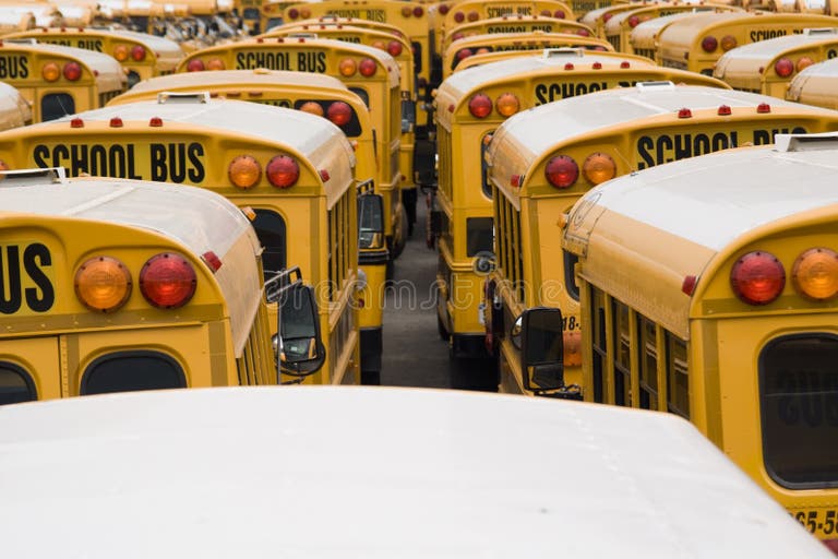 School Bus Parking stock image. Image of education, kids - 2941801