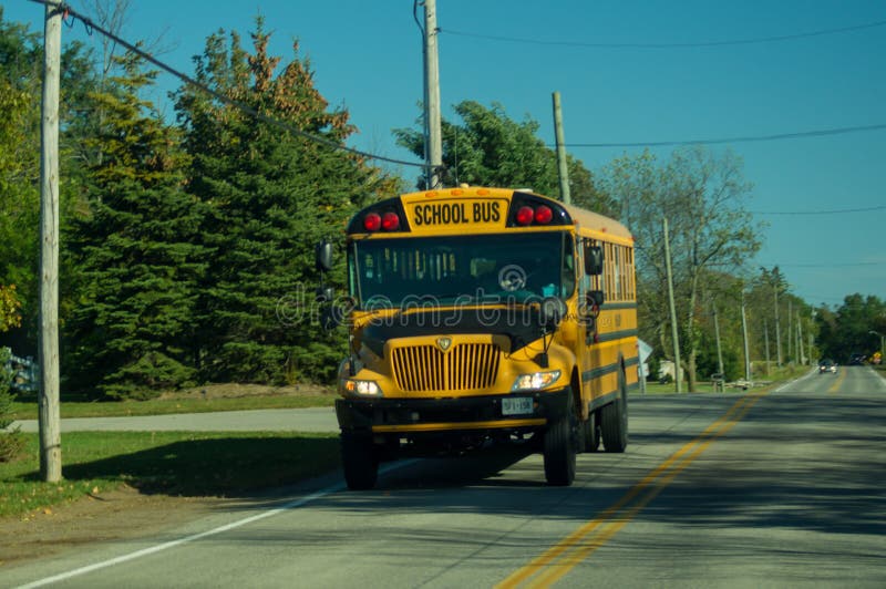 School bus editorial stock photo. Image of driving, children - 202267098