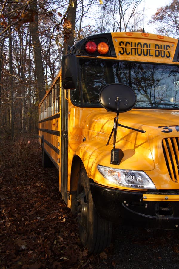 School Bus in the Shade stock photo. Image of education - 1497654