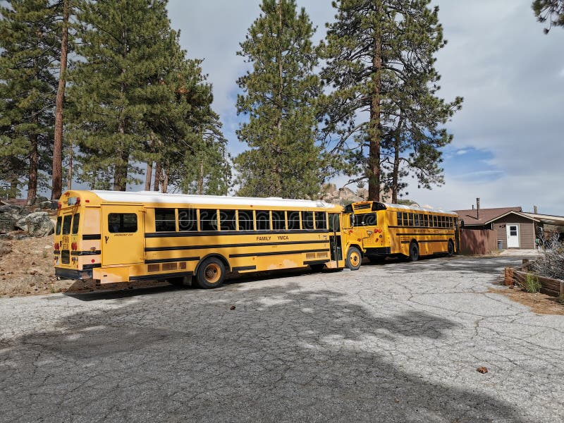 School Bus Yellow Transport in Usa Editorial Image - Image of asphalt ...