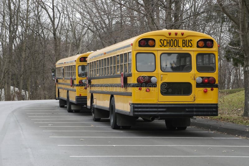 School Bus - Free Photo from StockFreeImages