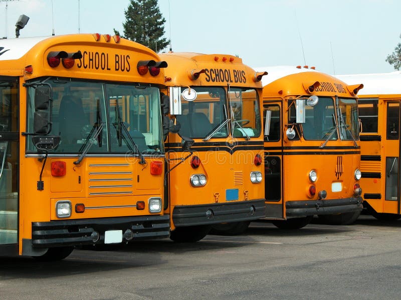 School buses stock photo. Image of signal, students, education - 31356532