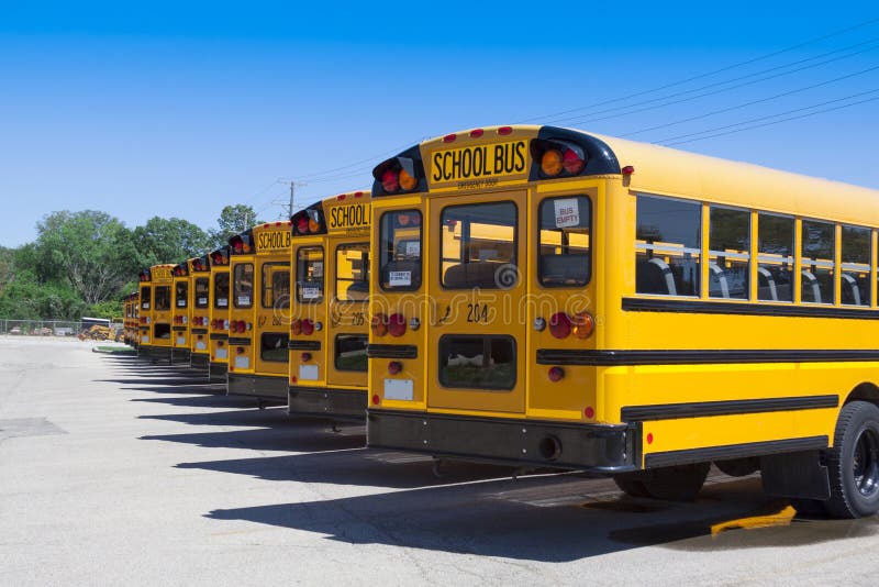 School buses stock image. Image of education, back, transportation ...