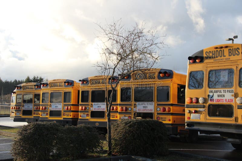 School buses from the back editorial stock image. Image of lights ...
