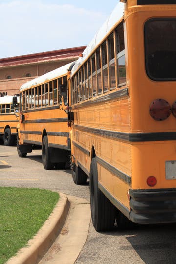 School buses lined up stock photo. Image of school, parked - 19840728