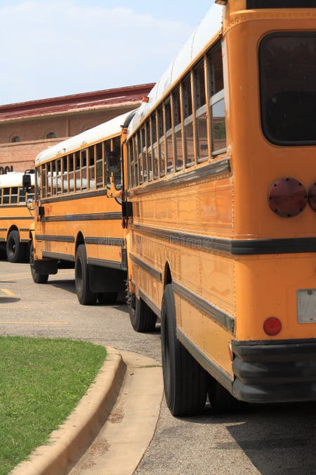 School buses lined up stock photo. Image of school, parked - 19840728