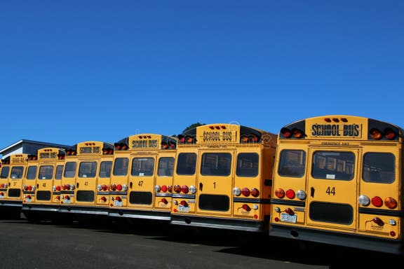 School buses lined up. editorial photo. Image of lined - 79810876