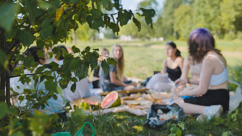 School Children Had a Picnic Under the Tree with Fruit and Food ...