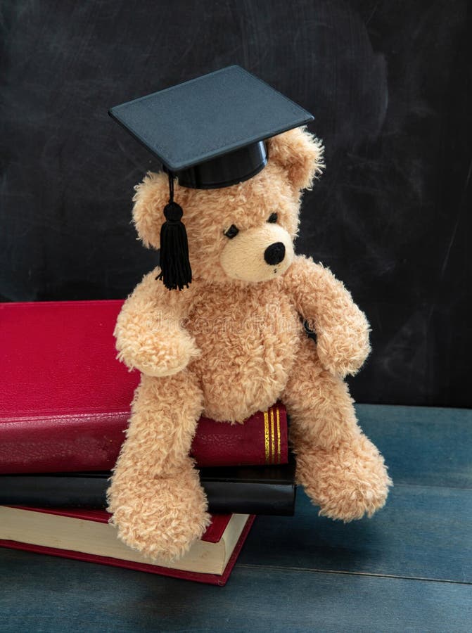 Teddy Bear Graduation Cap Stock Photos - Free & Royalty-Free Stock ...