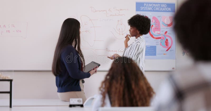 Teacher, Board and Writing Notes for Education in Classroom, Academy ...