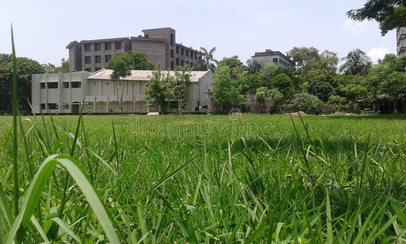 School field. stock image. Image of beautiful, grass - 59330483