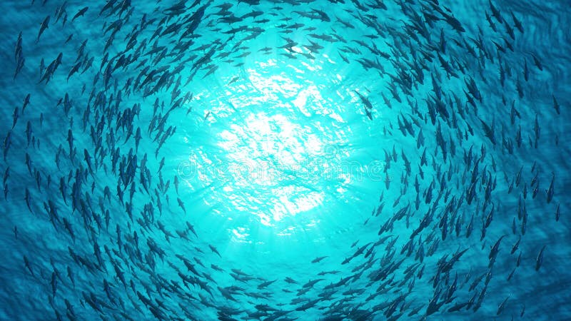 School of Fish on Background School of Fish Underwater Landscape in Red ...