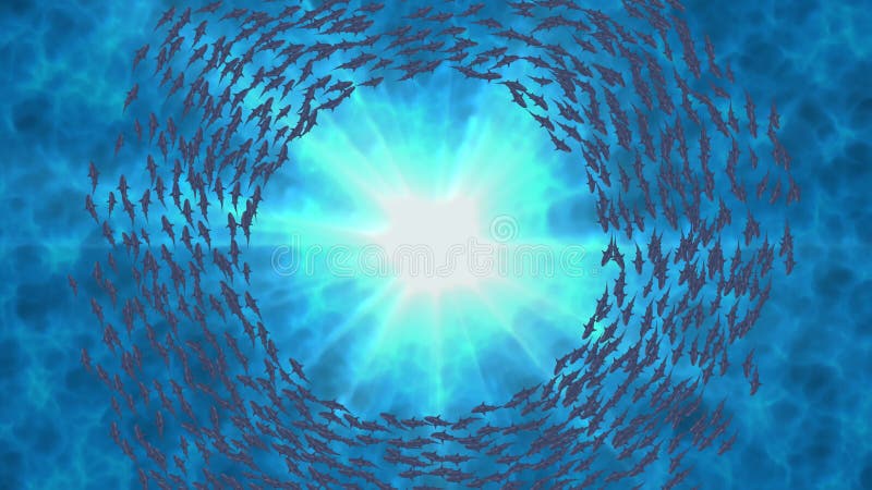 School of fish stock footage. Video of life, large, following - 53400880