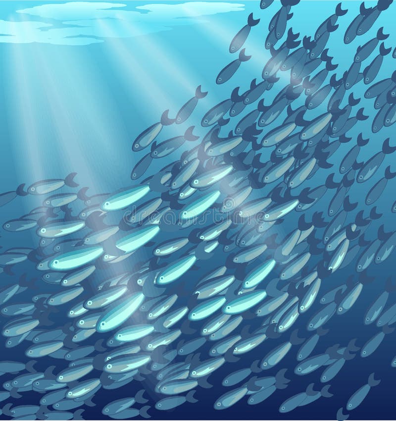 A school of fish stock vector. Illustration of meeting - 99556799