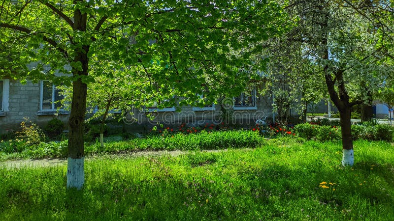 School garden stock photo. Image of green, park, garden - 218125968