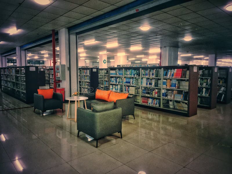 School library editorial stock image. Image of knowledge - 262163599