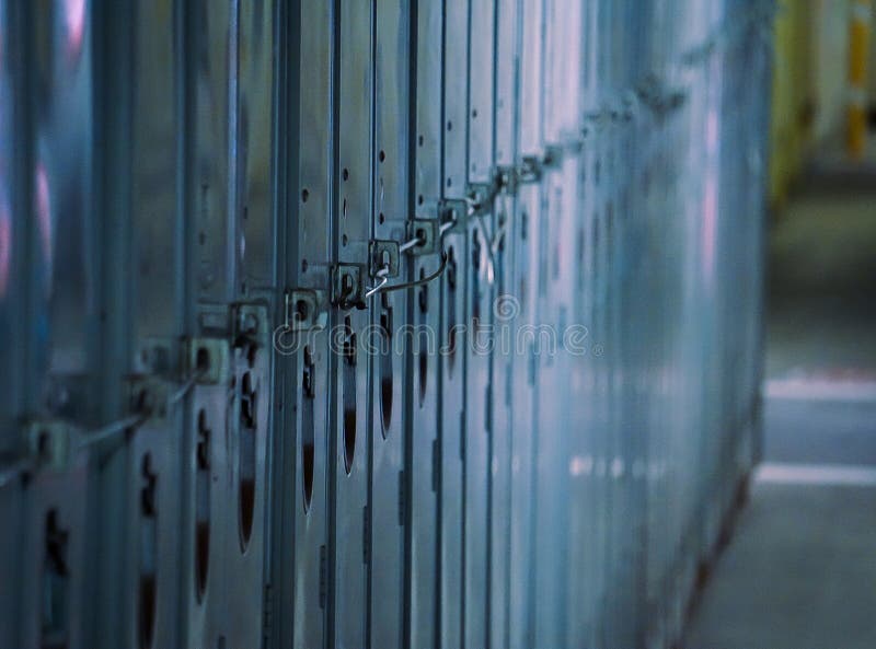 School lockers stock photo. Image of scary, school, hallway - 254091992