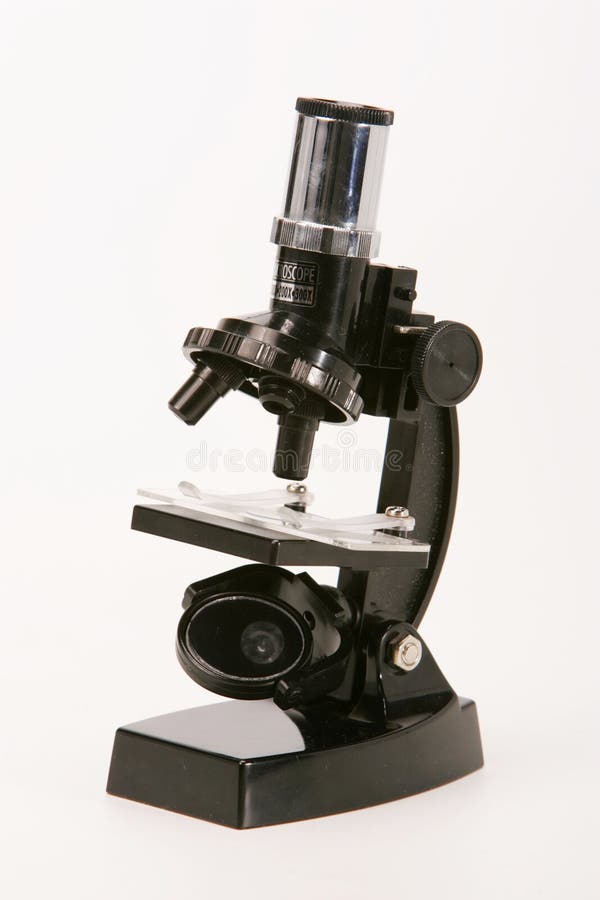 Small Fish School Picture. Image: 2536025