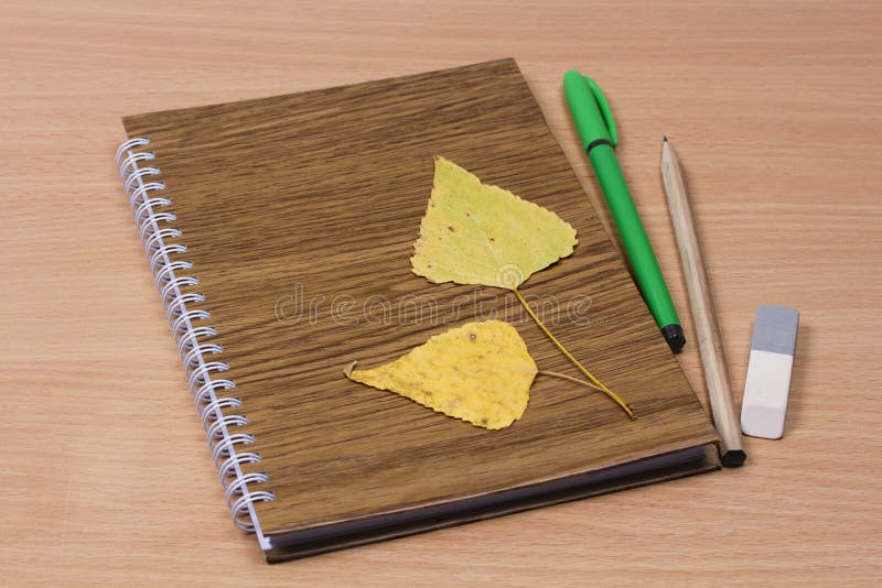 School notebook stock photo. Image of opened, autumn - 20831496