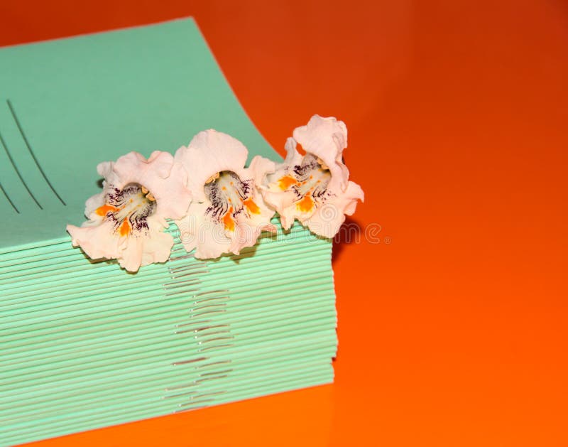 School Notebooks with White Flowers of the Bignonioides Plant on an ...