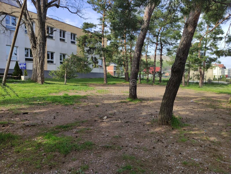 School is Place To Grow. Happy Girl Back To School. Little Child Wear ...