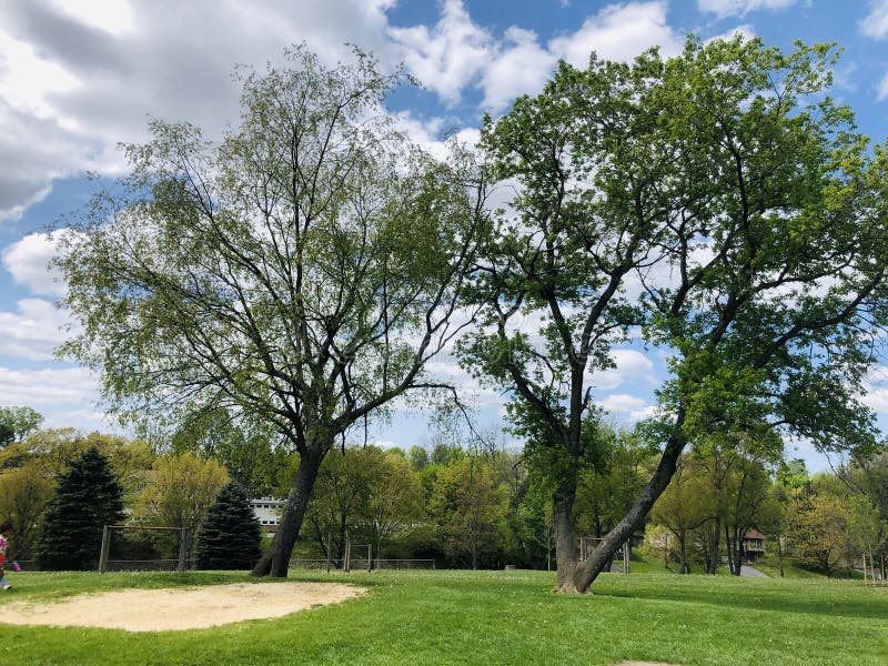 Sunny school playground stock photo. Image of harrisburg - 247226344