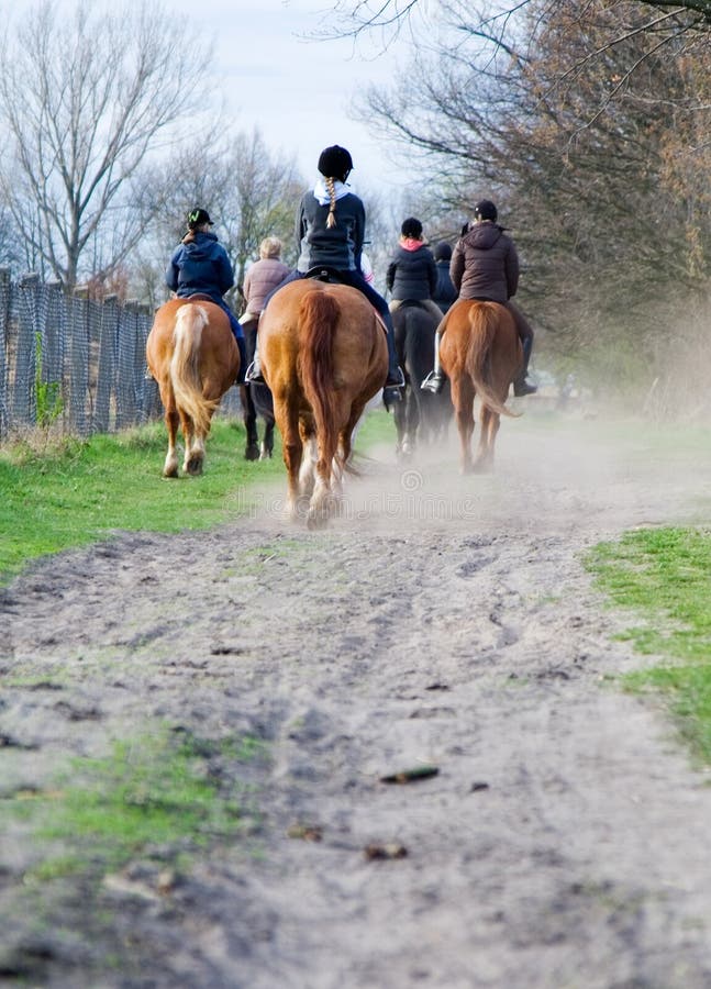 School of riding stock image. Image of horses, riding - 2294139