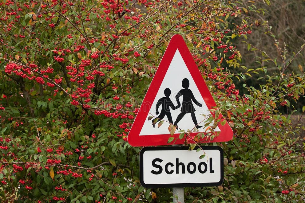 School Sign among Red Berries Stock Photo - Image of shrub, berries ...