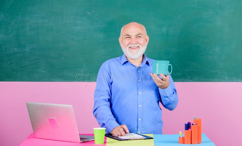 School Teacher Programming with Laptop. Programming Web Development ...