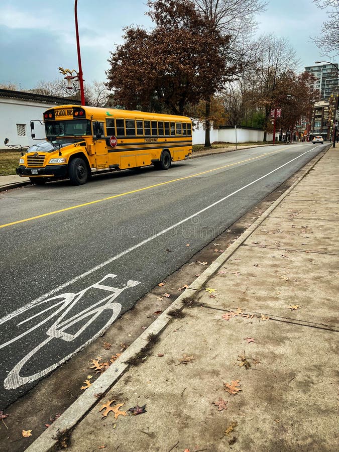 152 School Bus Track Stock Photos - Free & Royalty-Free Stock Photos ...