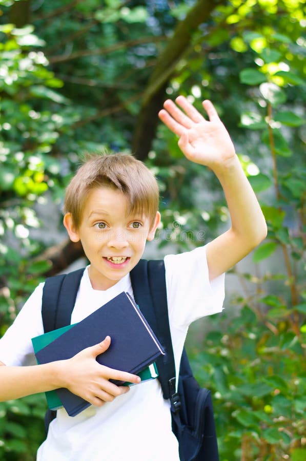 Schoolboy with Backpack and Books Stock Photo - Image of cute ...