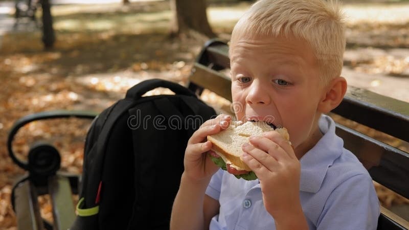 A Schoolboy with a Backpack Sits on a Park Bench and Eats a Sandwich ...