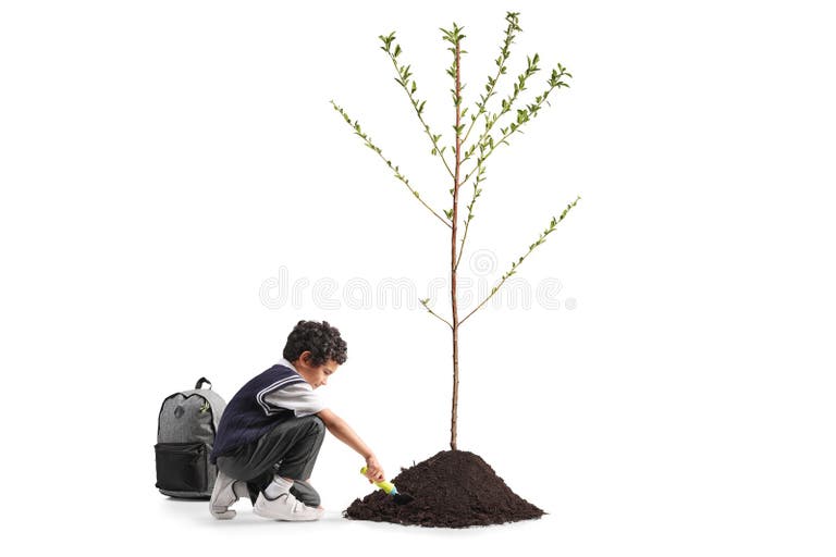 Schoolboy Digging Earth and Planting a Tree Stock Image - Image of ...