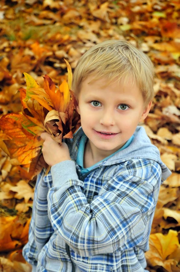 Schoolboy in fall time stock photo. Image of small, leaves - 11329118