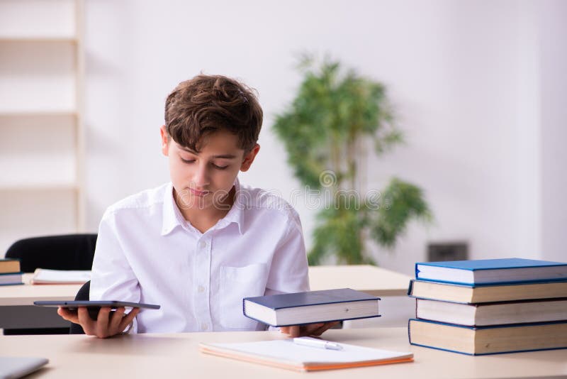 Schoolboy in Tele-education Concept in the Classroom Stock Photo ...