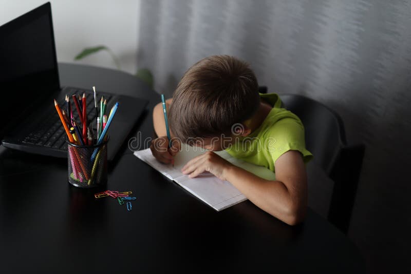 Inspiring Home Study: Boy Engaged in Homework with Laptop and Colorful ...